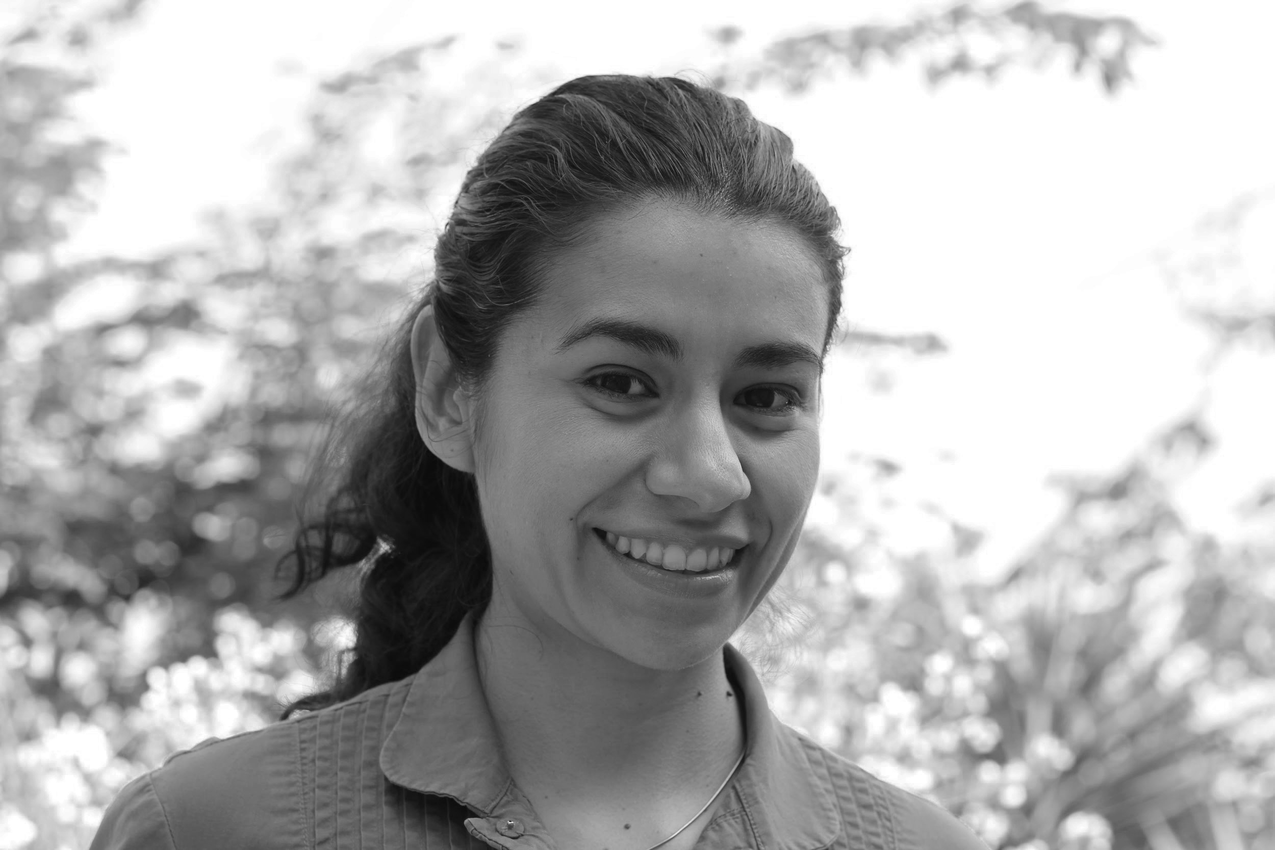 Curator Frida Cano parallels Adorno pieces and contemporary Latin ...