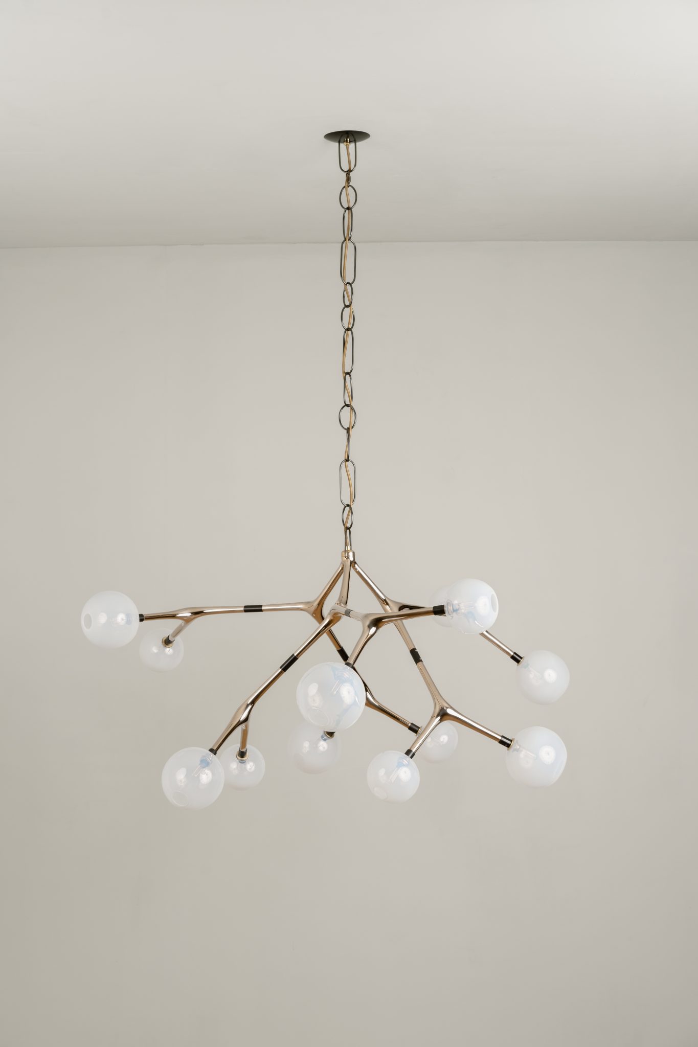 Maratus Light Fixture by Isabel Moncada | ADORNO DESIGN