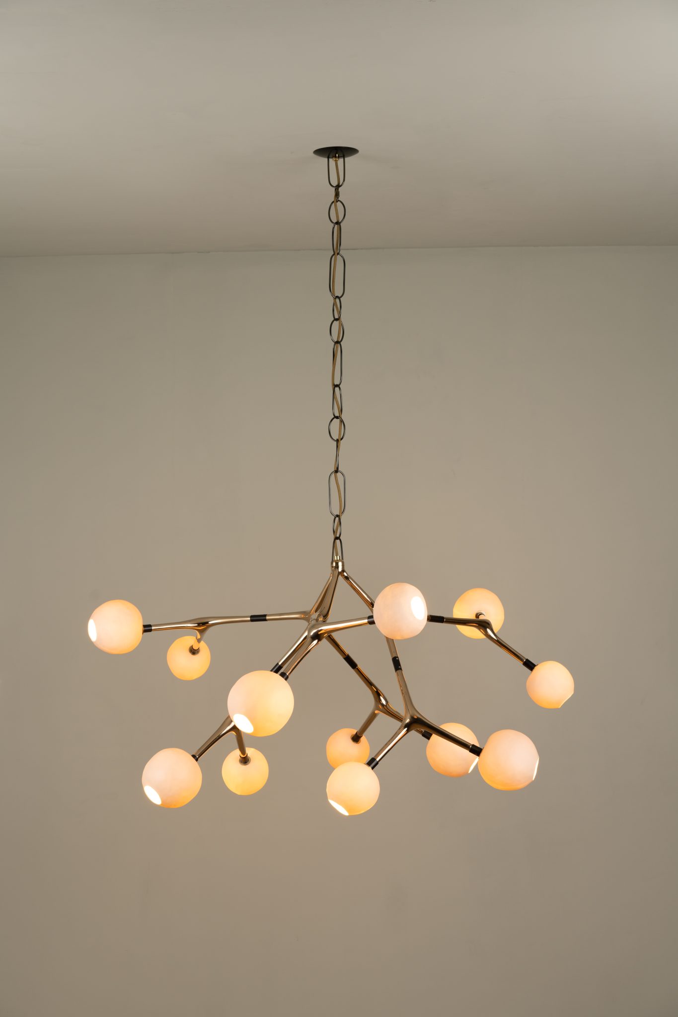 Maratus Light Fixture by Isabel Moncada | ADORNO DESIGN